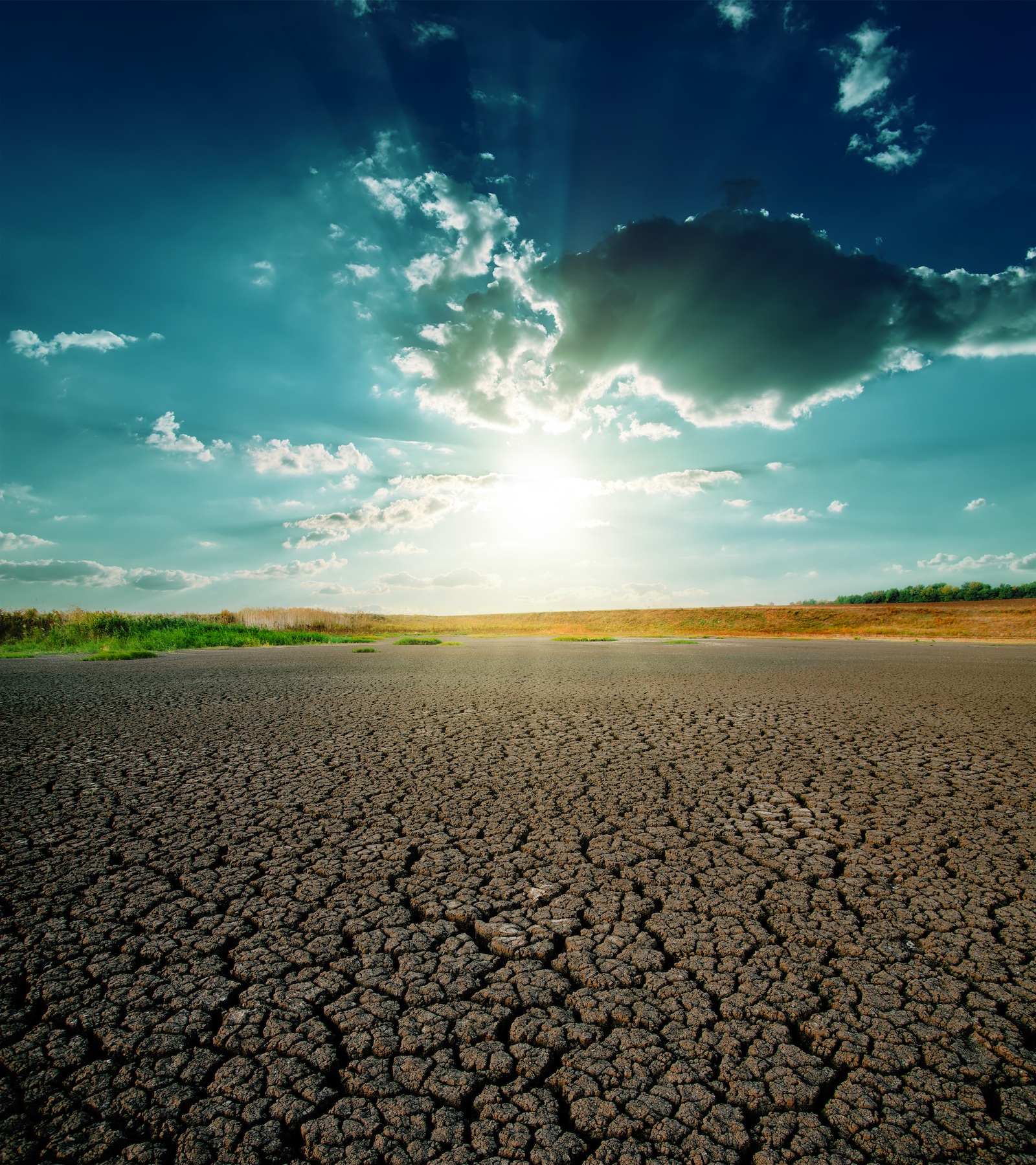 May was hottest on Earth since records began | Reveal